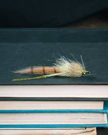 Sight Cast Skinny Redfish Cracklin