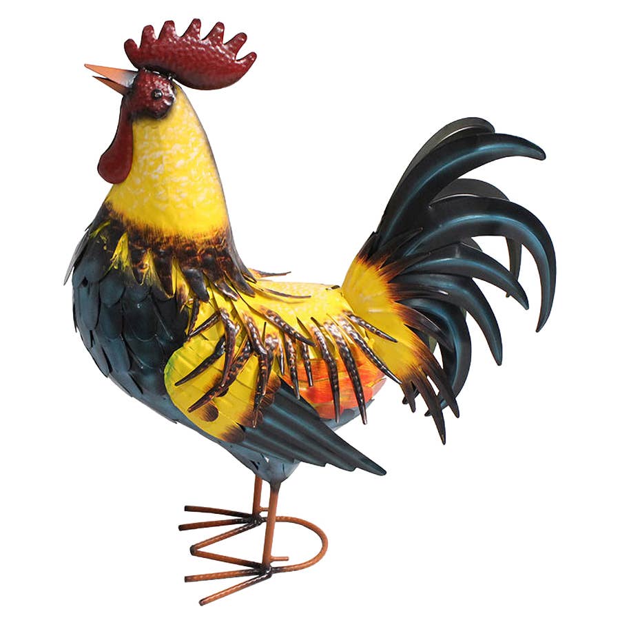 Backyard Expressions Decor