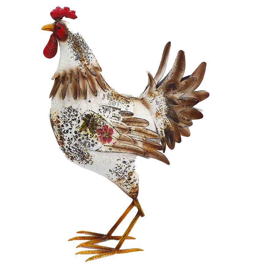 Backyard Expressions Decor