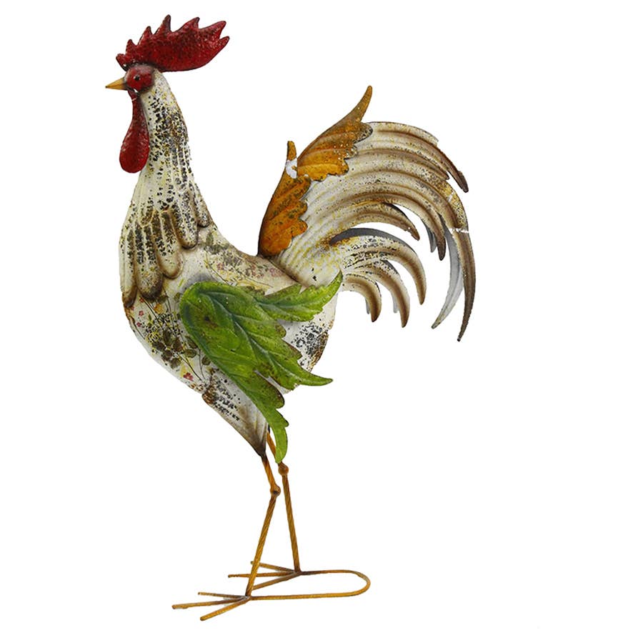 Backyard Expressions Decor