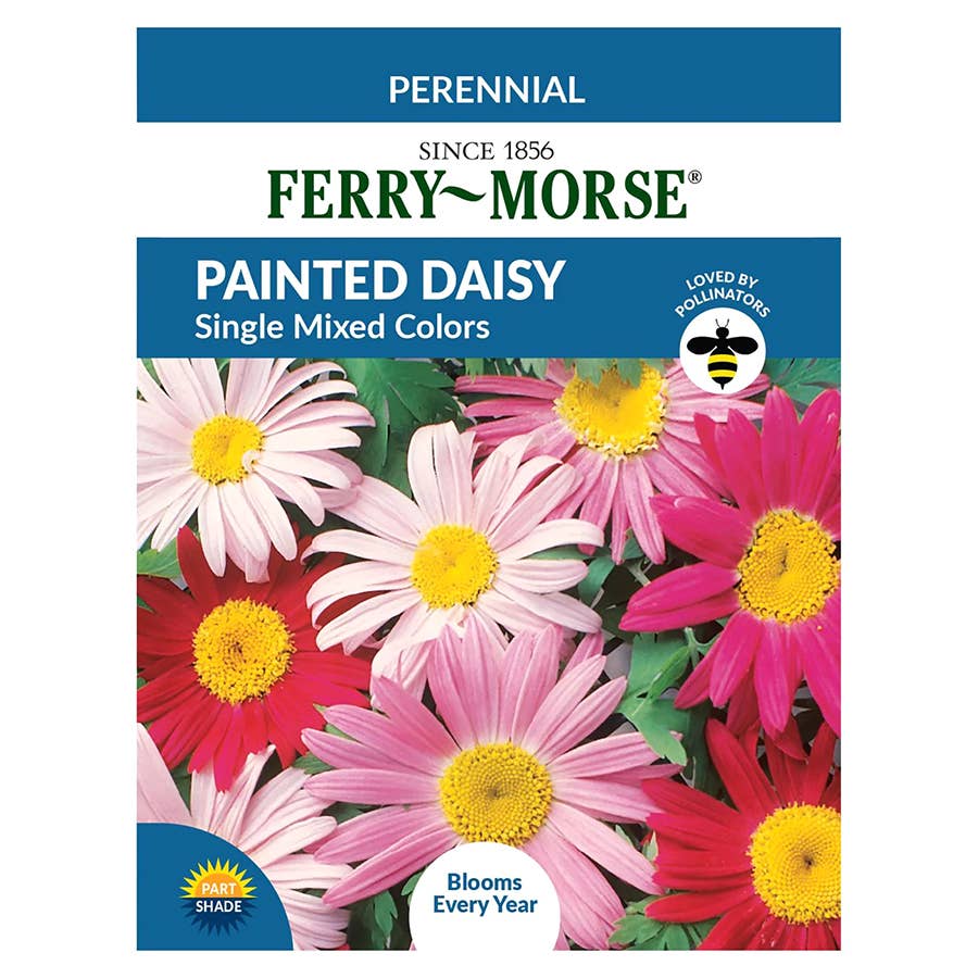 Ferry-Morse Painted Daisy Seeds