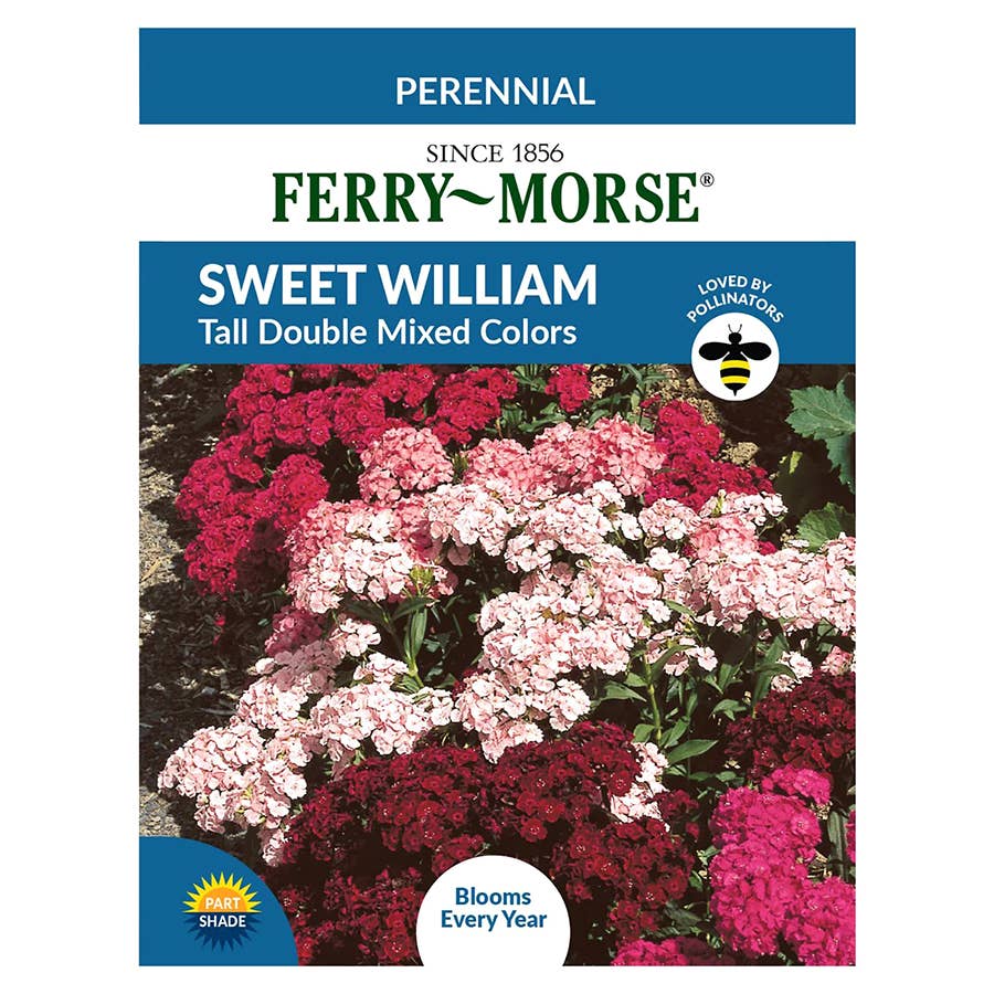 Ferry-Morse Sweet William Seeds