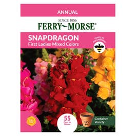 Ferry-Morse Snapdragon Seeds