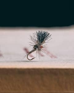 Kris Keller's Mr. Tickle