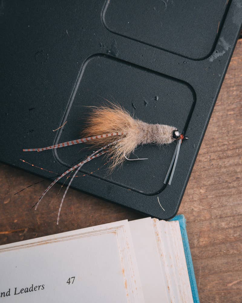 Drew Chicone's Coyote Shrimp