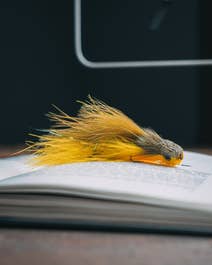 American Small Batch SM Swimming Jimmy