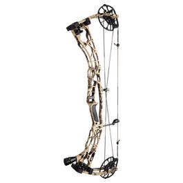 Hoyt Alpha X 33 Bow