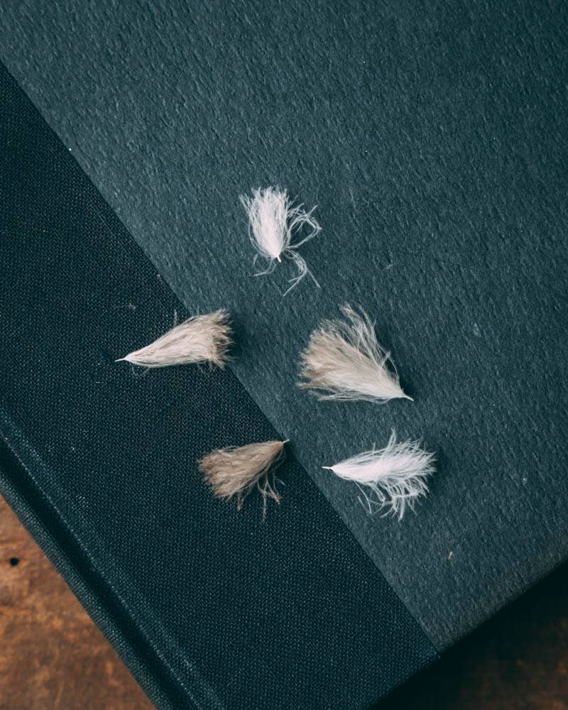 Shop Fly Fishing Fly Patterns - The Fly Project