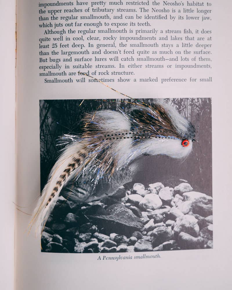 Eric Hurst's Thrasher