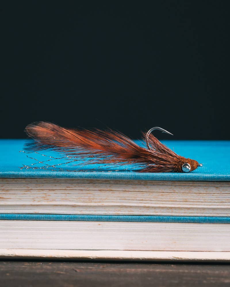 Rodeo Minnow