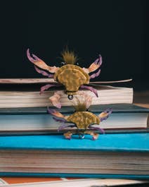 Floating Mandaclawrian Pass Crab - Large