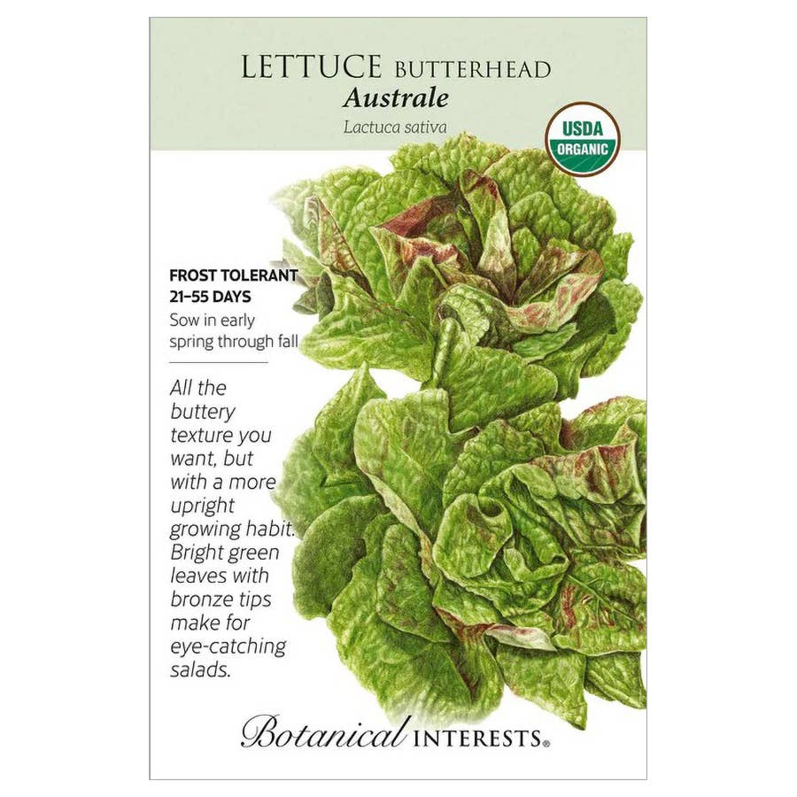 Botanical Interests Australe Butterhead Lettuce Seeds