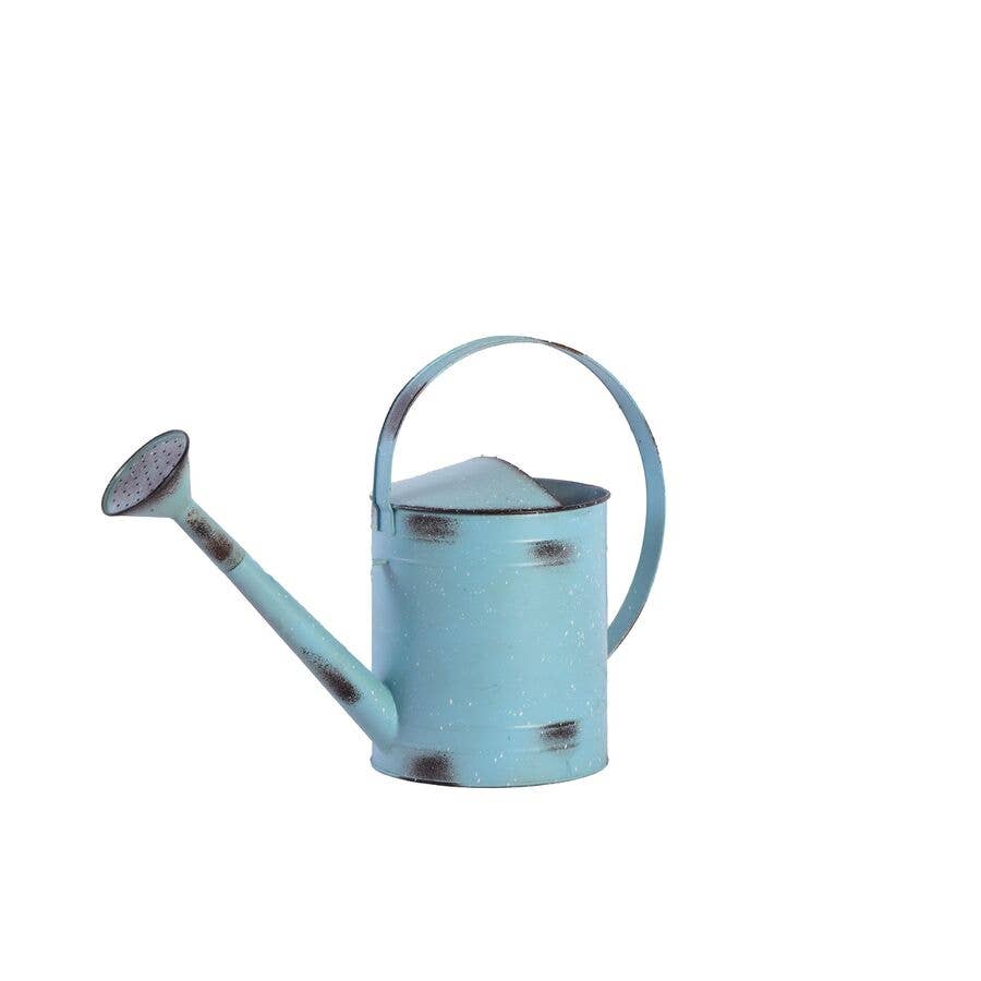 Backyard Expressions Colored Metal Watering Can
