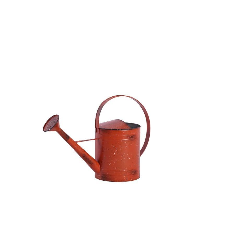 Backyard Expressions Colored Metal Watering Can