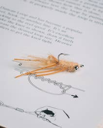 Bob Veverka's Mantis Shrimp