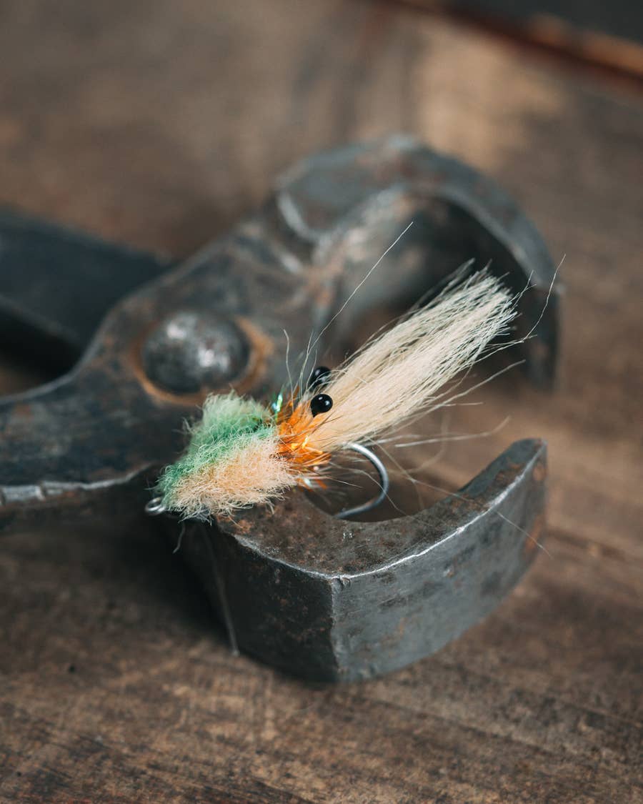 Tim Borsky's Mangrove Critter