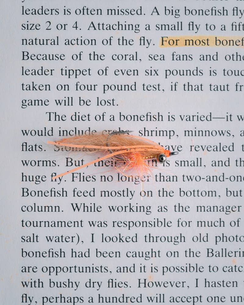 Brita Fordice's Arctic Bone