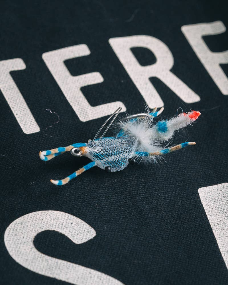 Brita Fordice's Fiddler on the Reef