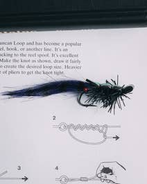 Brita Fordice's Guido Shrimp