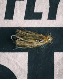 Brita Fordice's Make It Rainbow