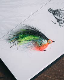 Brita Fordice's Princess Slaya