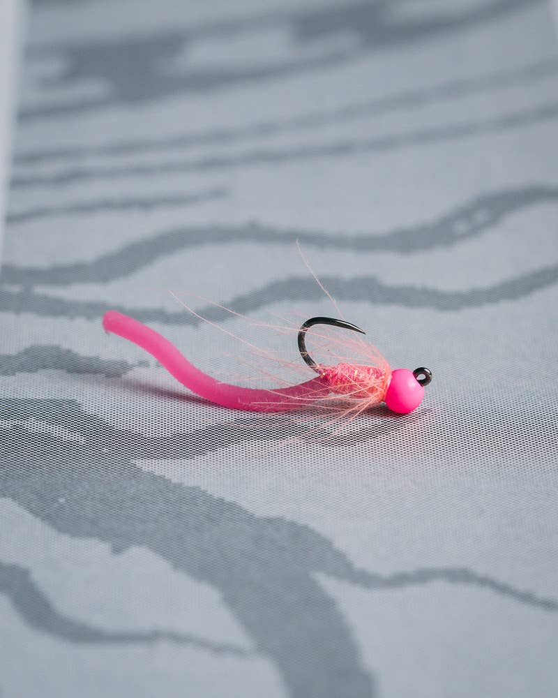 Brita Fordice's Worm Farm TB