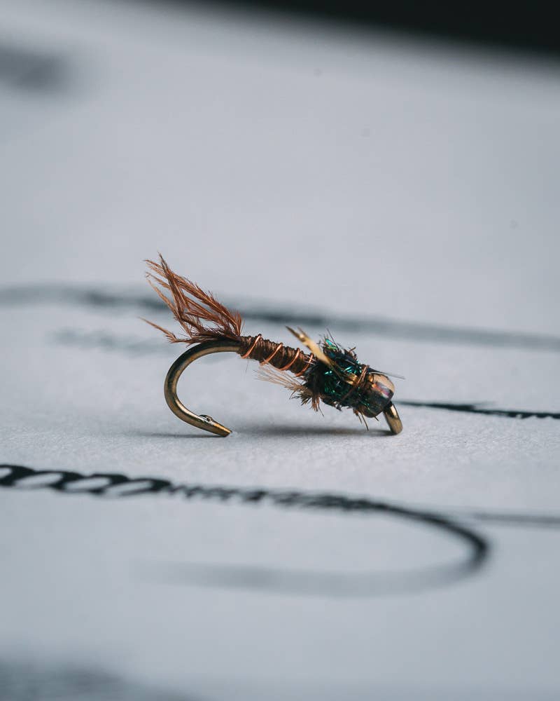 Hogan Brown's Golden Child