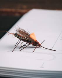 Ken Morrish's Fluttering Stone