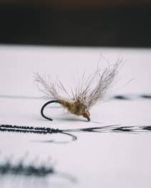 Ken Morrish's May Day