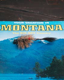 Ken Morrish's Mouse 2.0