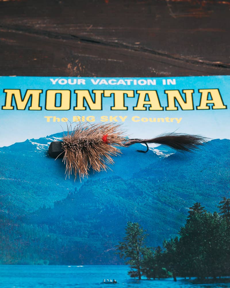 Ken Morrish's Mouse 2.0