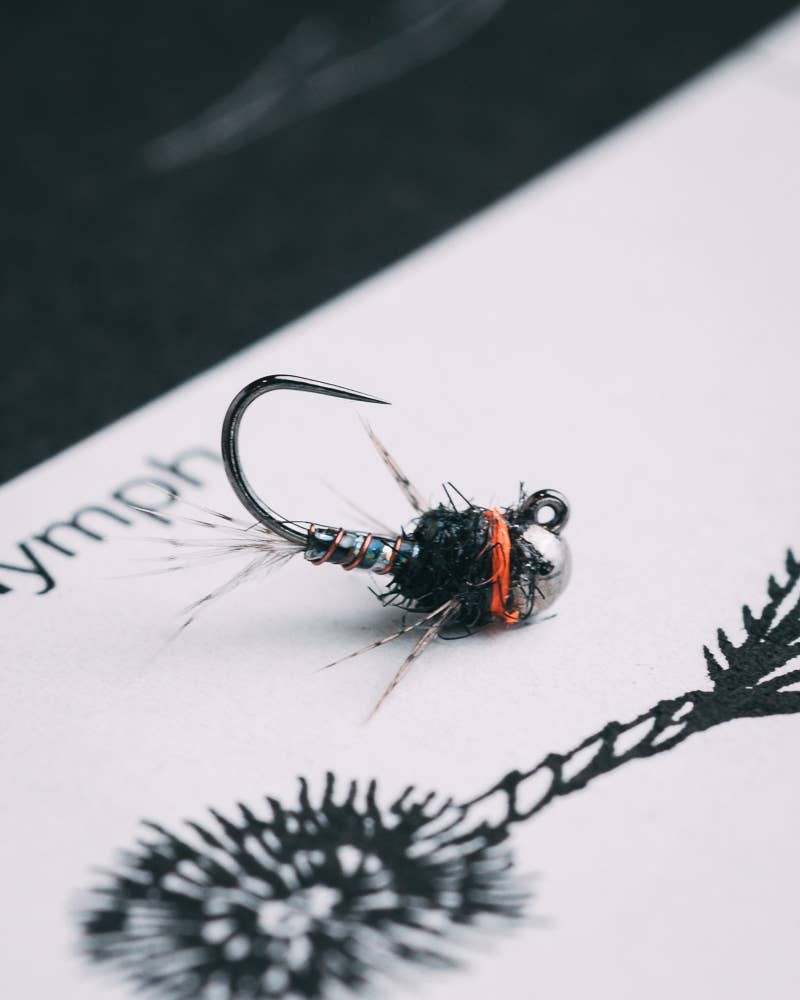 Ken Morrish's Sparkle Donkey TB