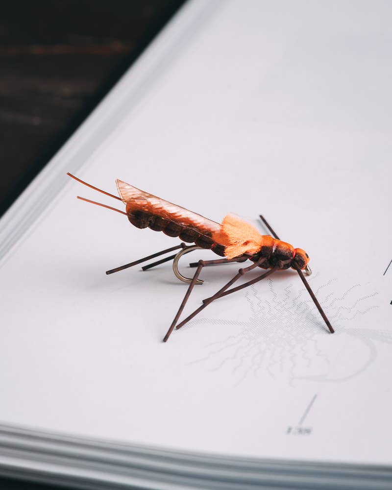 Ken Morrish's Still Stone