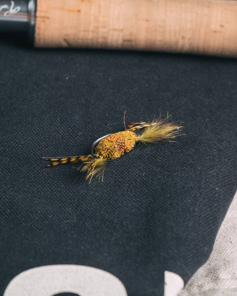 Pompano Jacques Saltwater Bugs Ragga Muffin