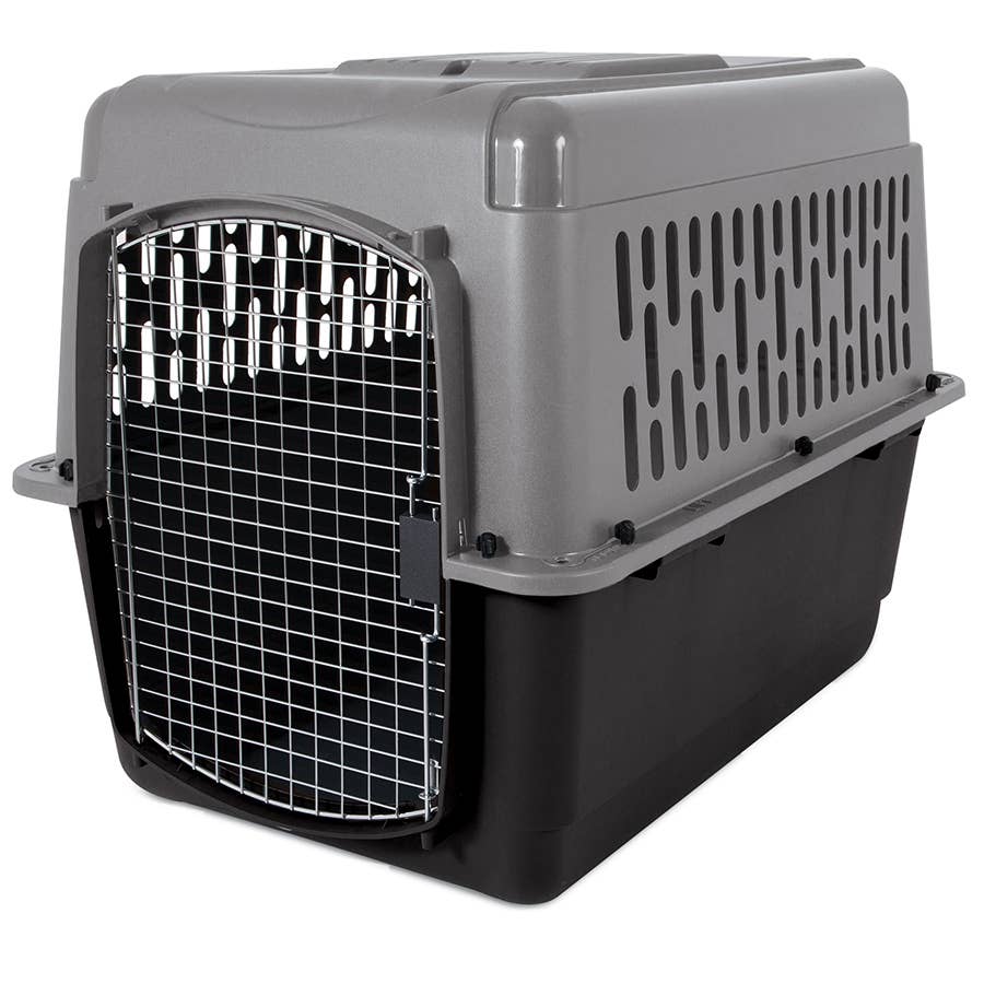 Aspen Pet® 36" Pet Porter Travel Kennel
