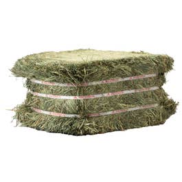 Anderson Compressed Orchard Hay Bale