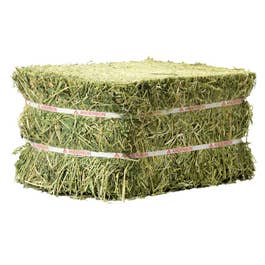 Anderson Compressed Alfalfa Hay Bale