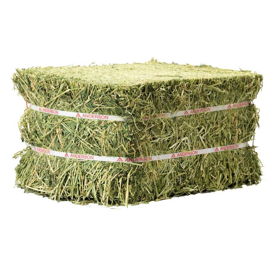 Anderson Compressed Alfalfa Hay Bale