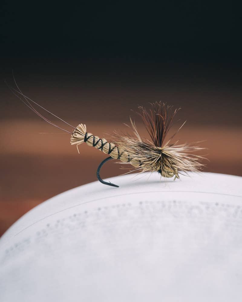 Umpqua Mike Lawson's Spent Partridge Caddis