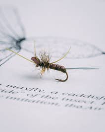 Umpqua Andrew Grillos' User Friendly - BWO - 18