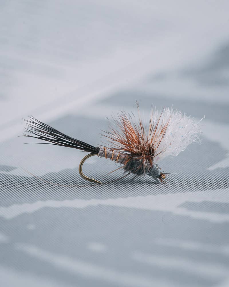 Umpqua Bob Quigley's Crime Scene