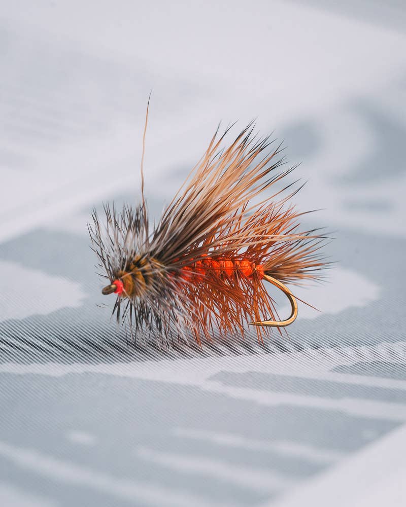 Umpqua Dave Student's Fishalicious
