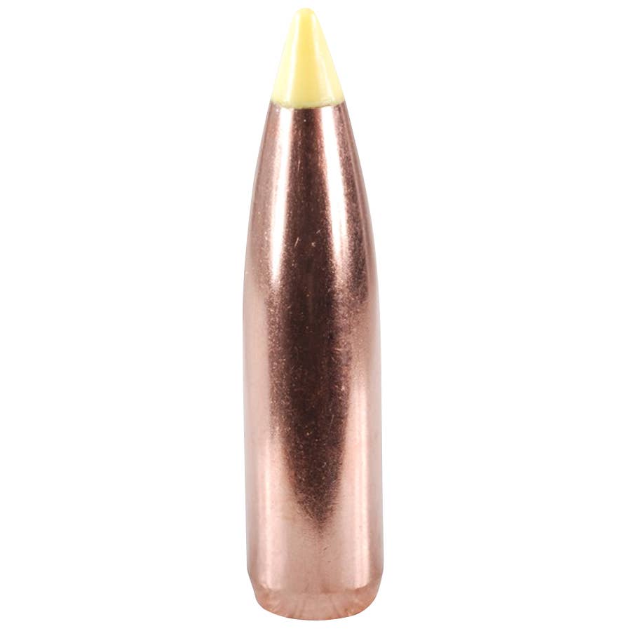 Nosler .270 Caliber Rifle Bullet