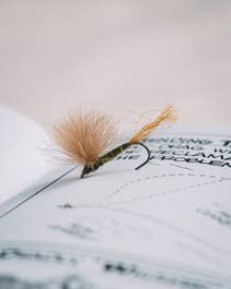 Craig Mathew's CDC Sparkle Dun