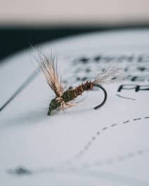 Craig Mathew's PT Sparkle Dun