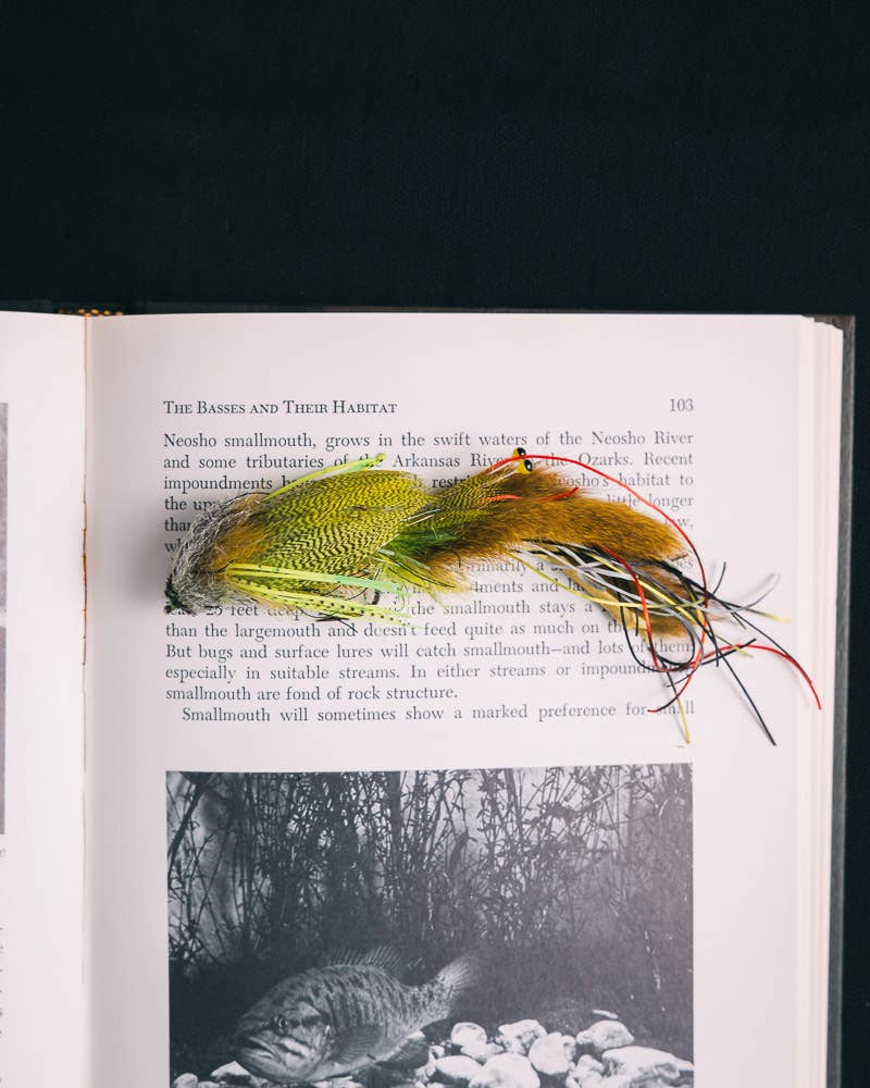 Jeremy Clapp's Fleein' Cray