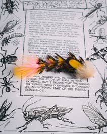 Jeremy Clapp's Feather Brush Changer