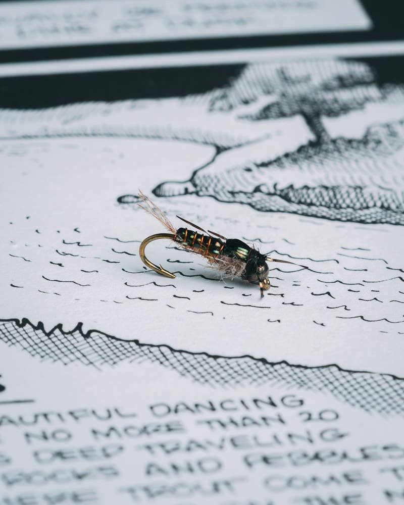 Ken Morrish's Anato-May