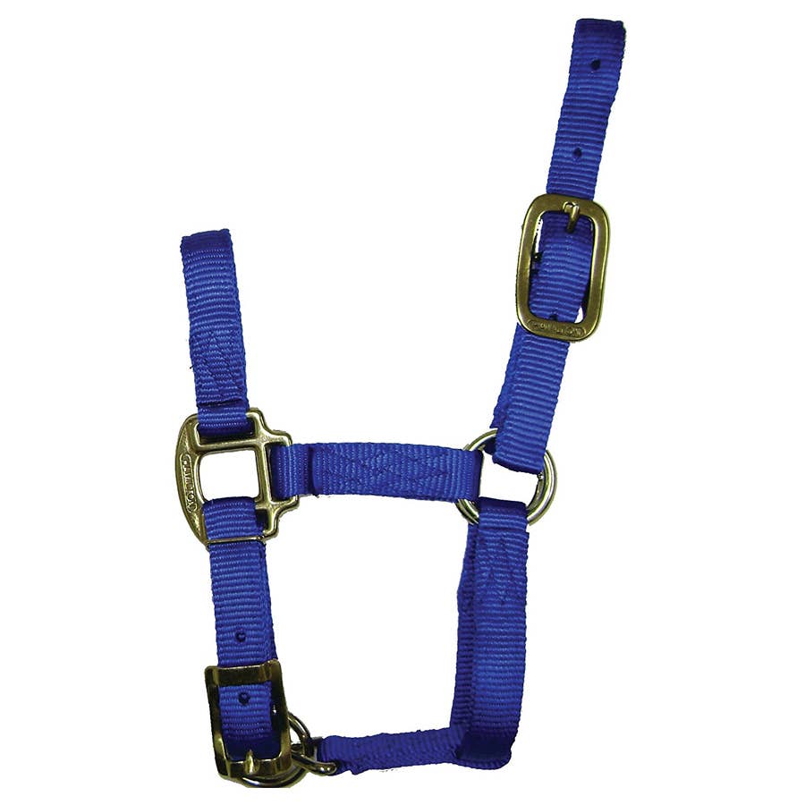 Hamilton Nylon Quality Adjustable Pony Horse Halter - 3/4""