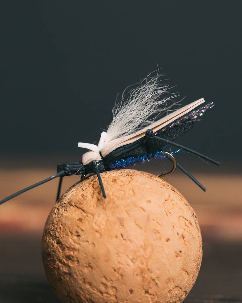 Will Dornan's Water Walker Skwala